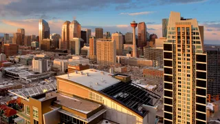 Holman appoints new captive manager | Captive International